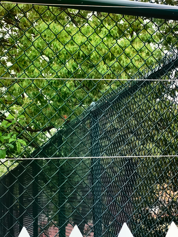 Easy Install Pvc Coated Galvanized Strong Wire Mesh Chain Link Fence ...